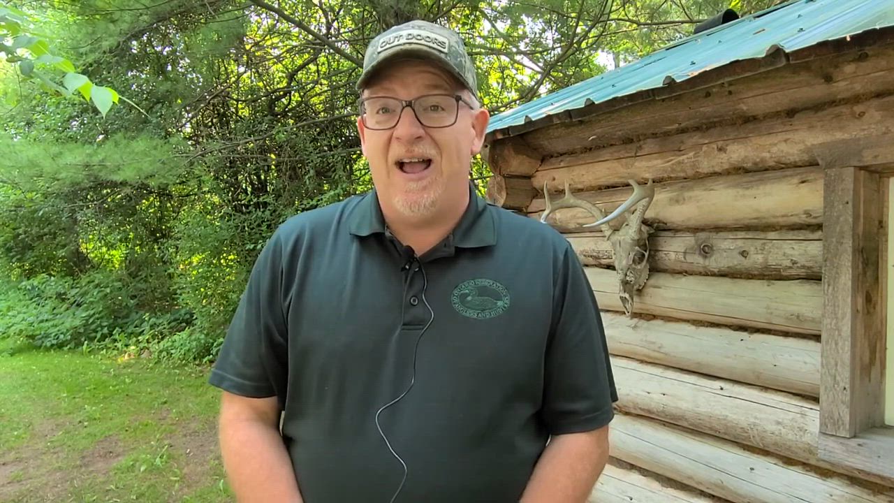 OFAH Stream